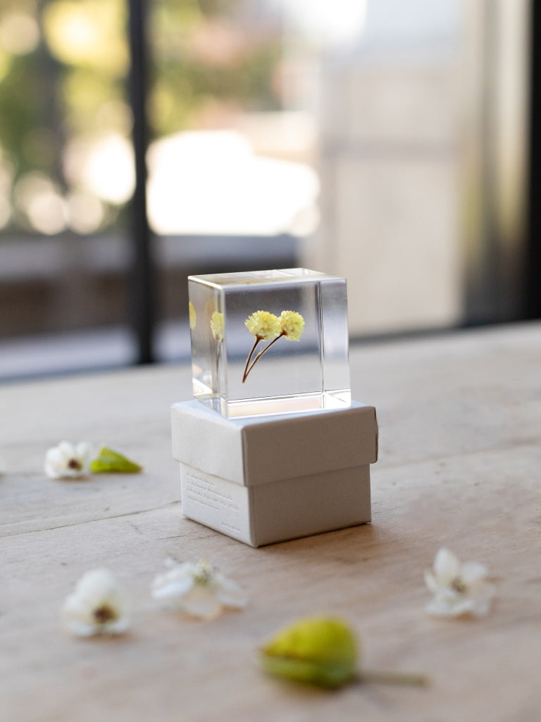 Sola Cube – Heirloom Art Co.
